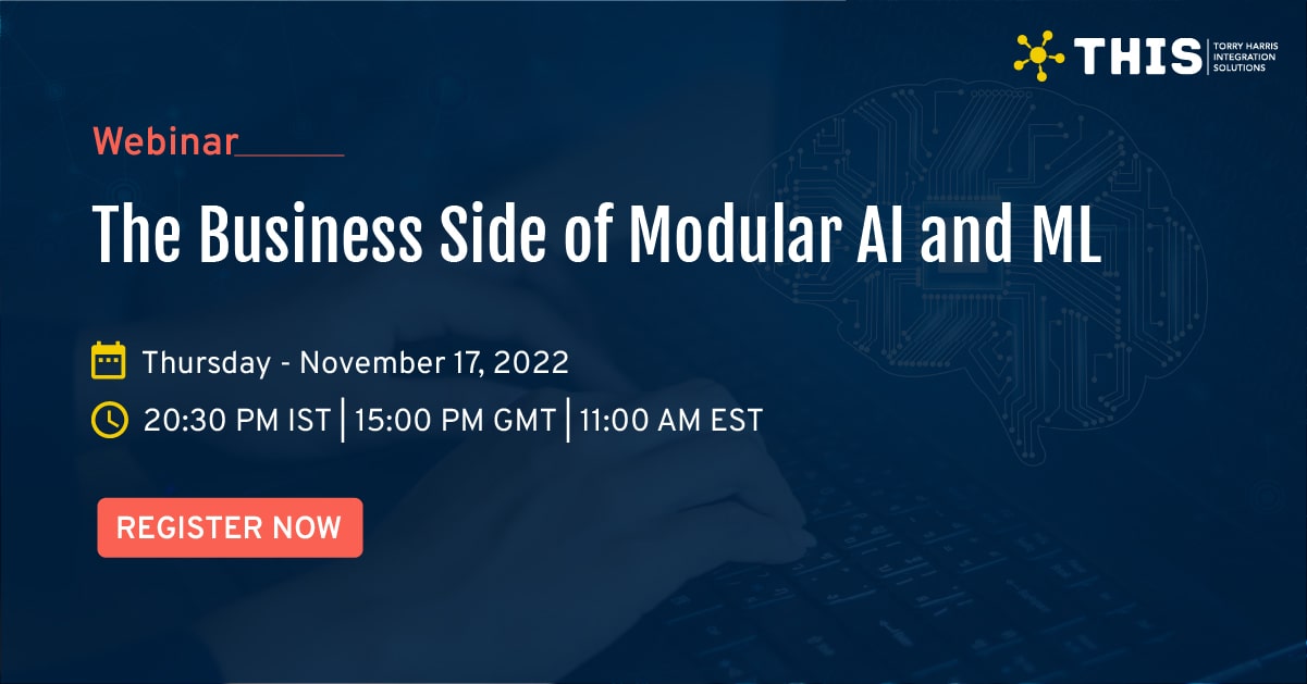 The Business Side of Modular AI and ML