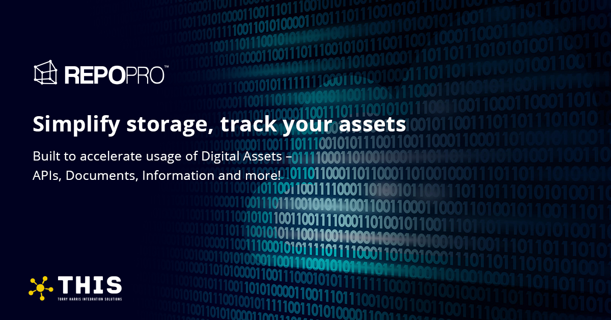 Enterprise Repository Tools | IT Asset Management | RepoPro™